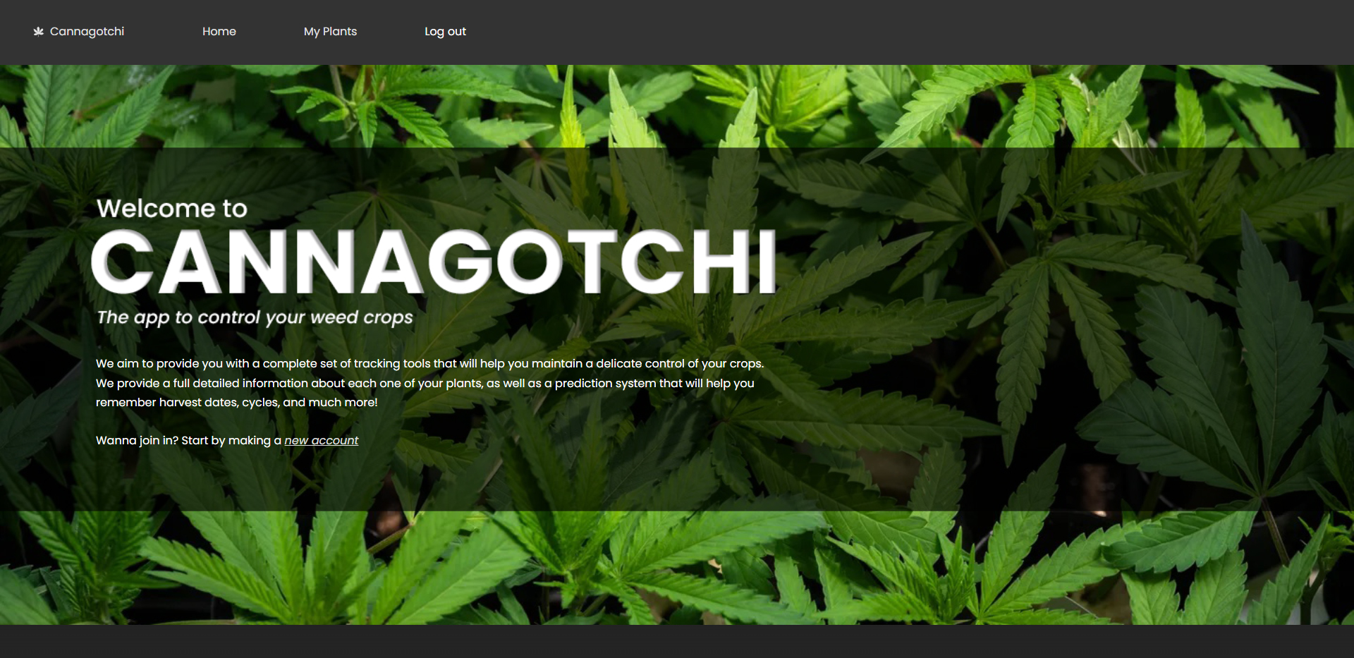 Fernando Morelli's portfolio