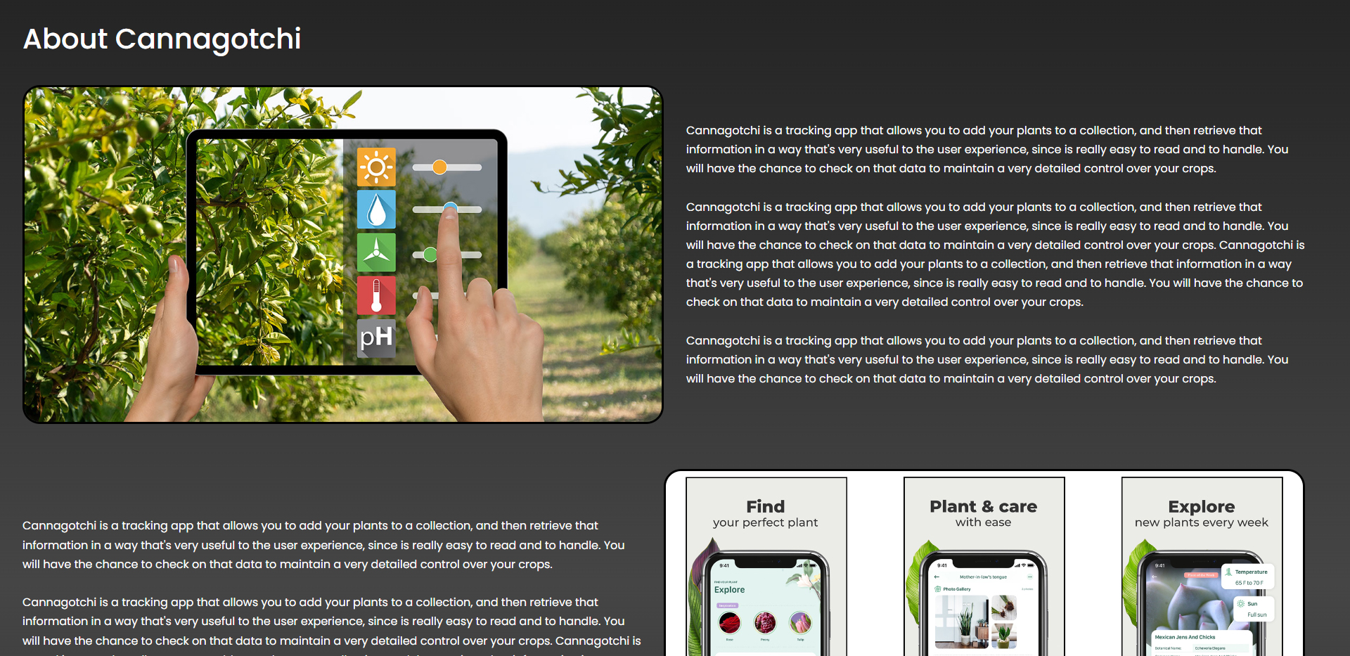 Fernando Morelli's portfolio